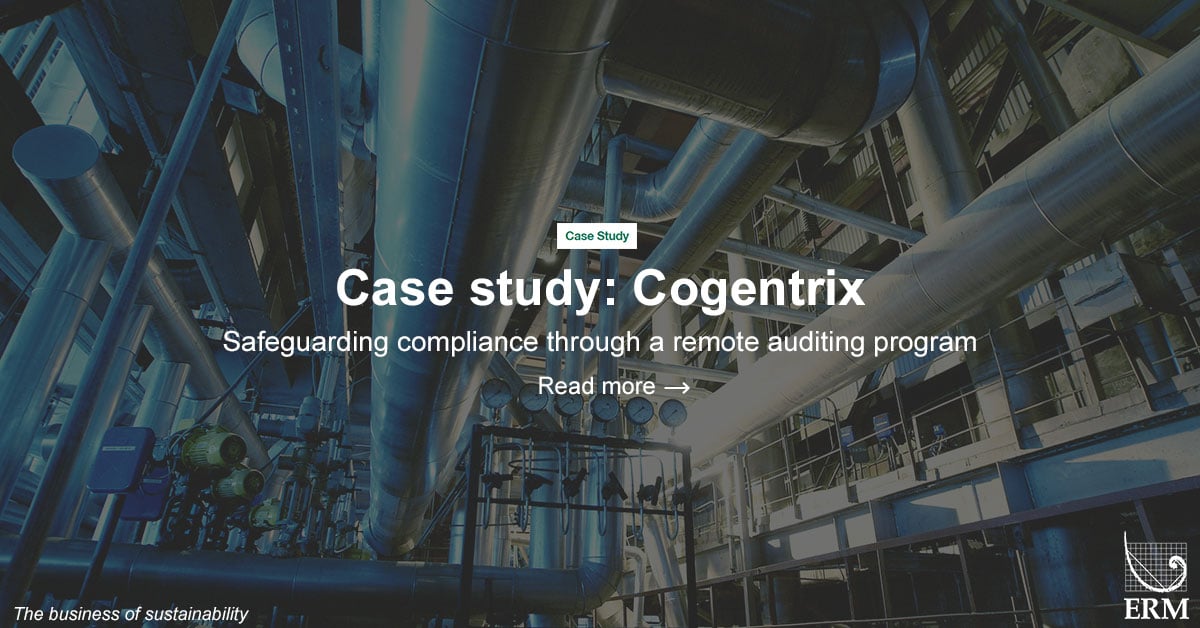 Case study: Cogentrix